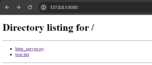 Simple Python HTTPS Server - James Li Can Hack