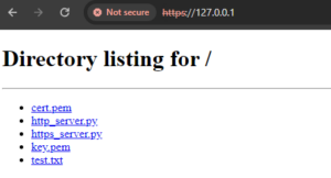 Simple Python HTTPS Server - James Li Can Hack
